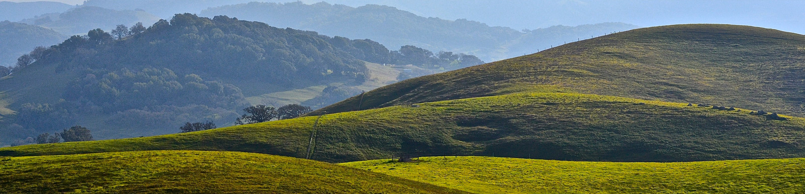 Pinole Valley Watershed - Bay Area Ridge Trail