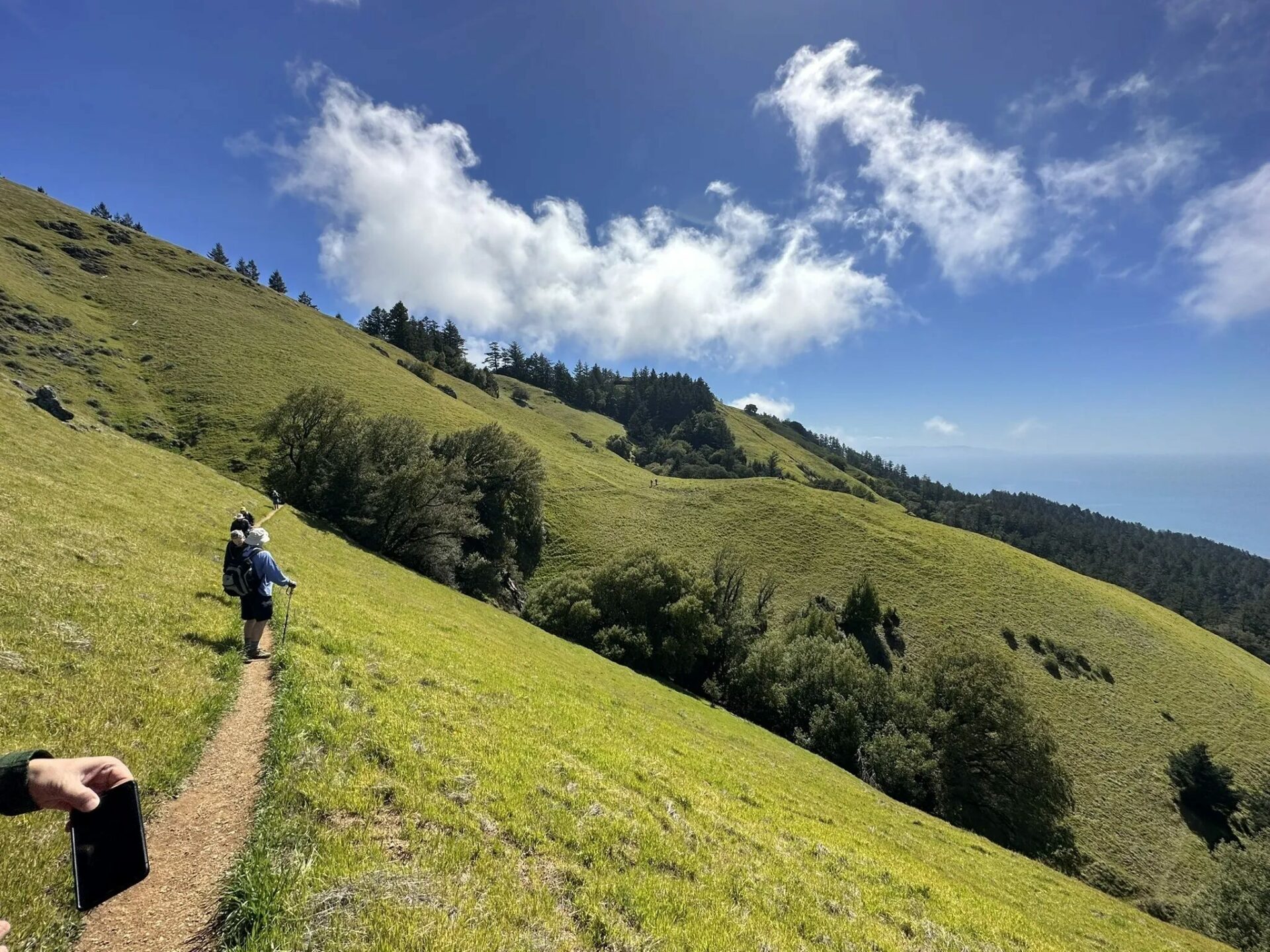 Mount Tamalpais State Park and Bolinas Ridge - Bay Area Ridge Trail