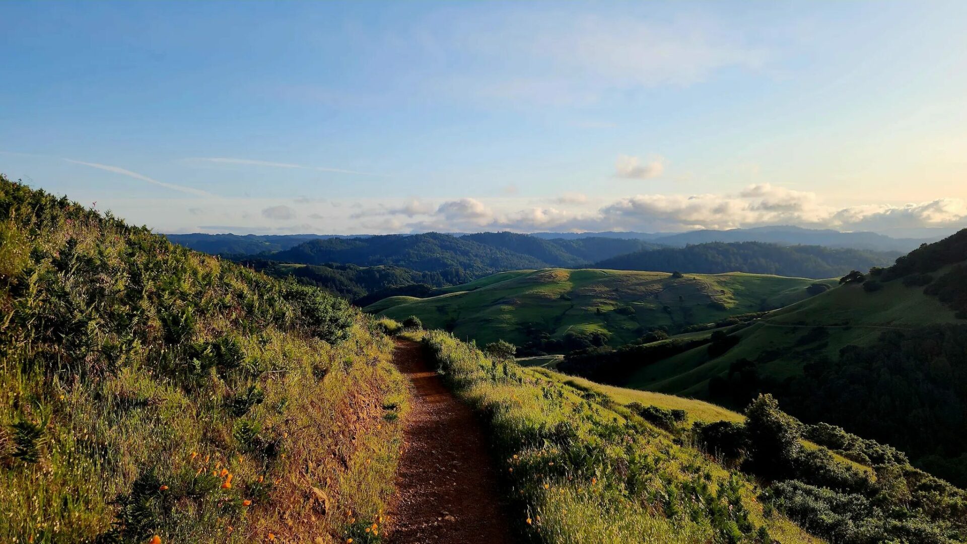 Lucas Valley Open Space Preserve - Lucas Valley Road to Big Rock Ridge ...