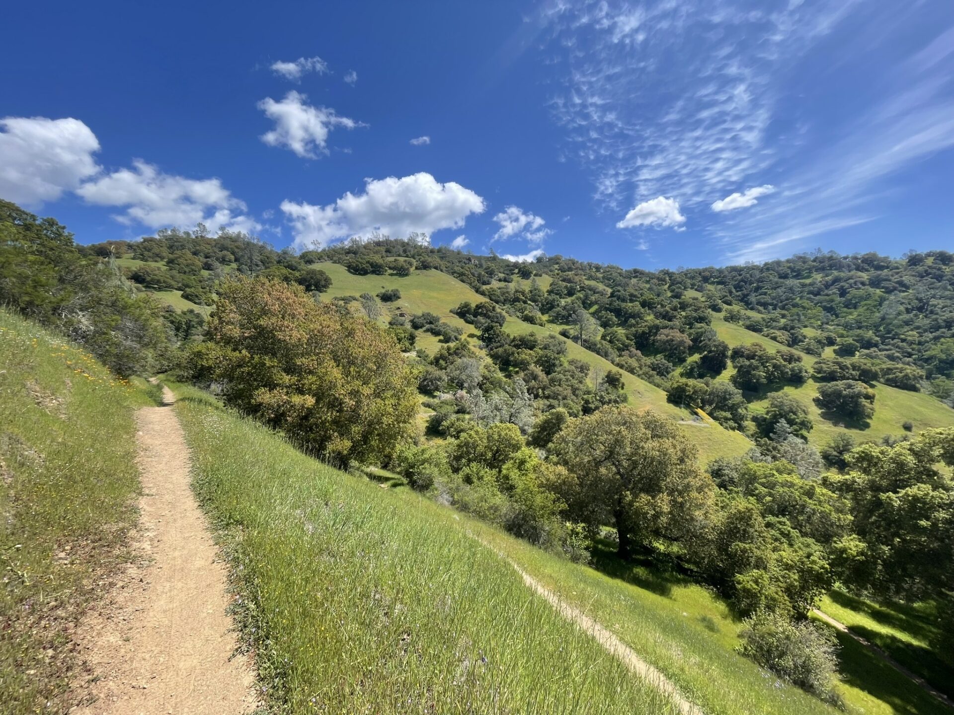 Moore Creek Park - Bay Area Ridge Trail