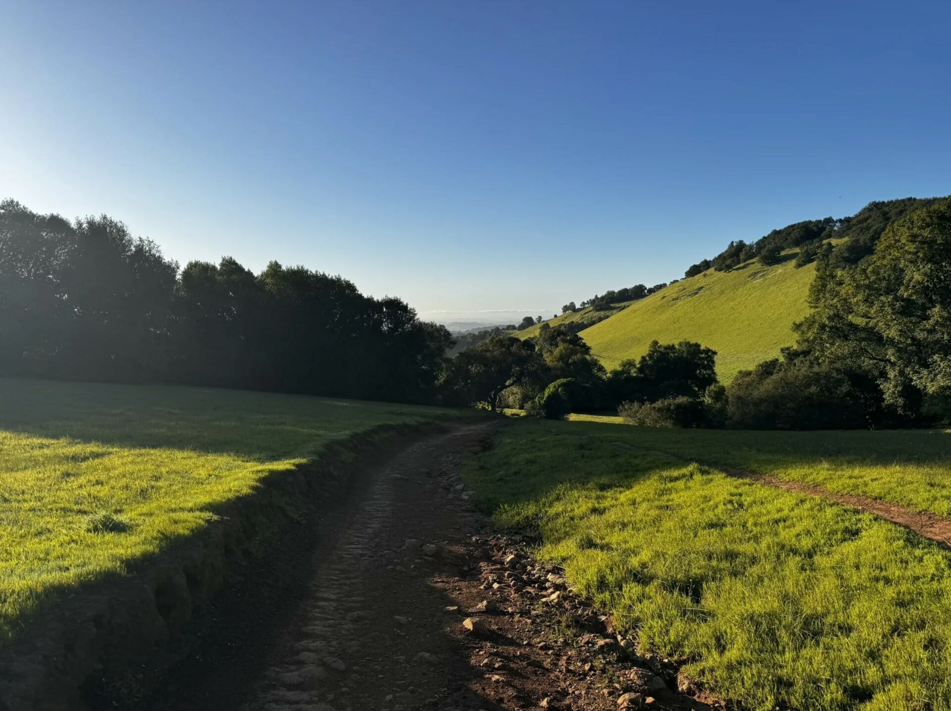 Mount Burdell Open Space: O'Hair Park to Olompali State Park - Bay Area ...
