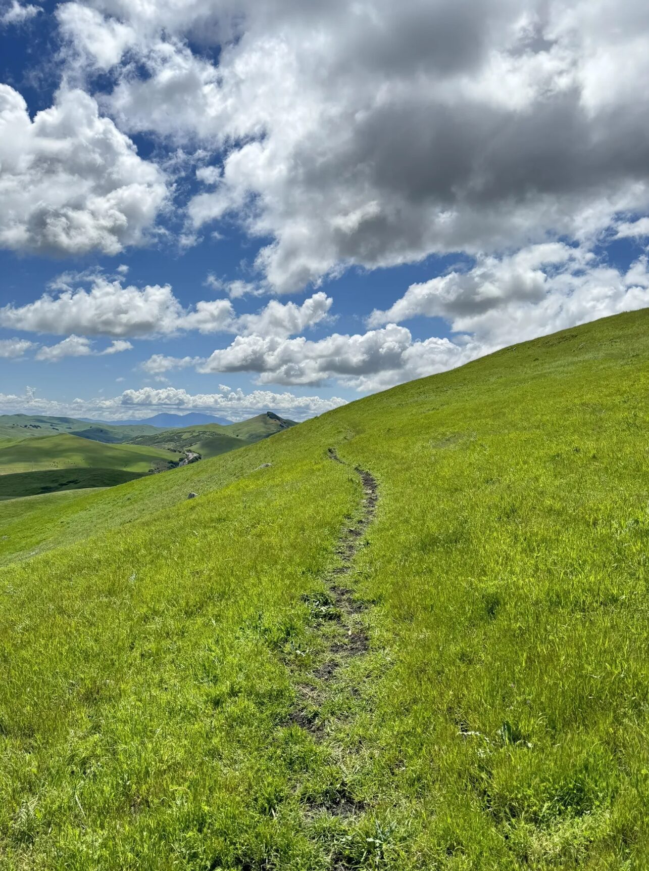 Lynch Canyon Open Space - Bay Area Ridge Trail