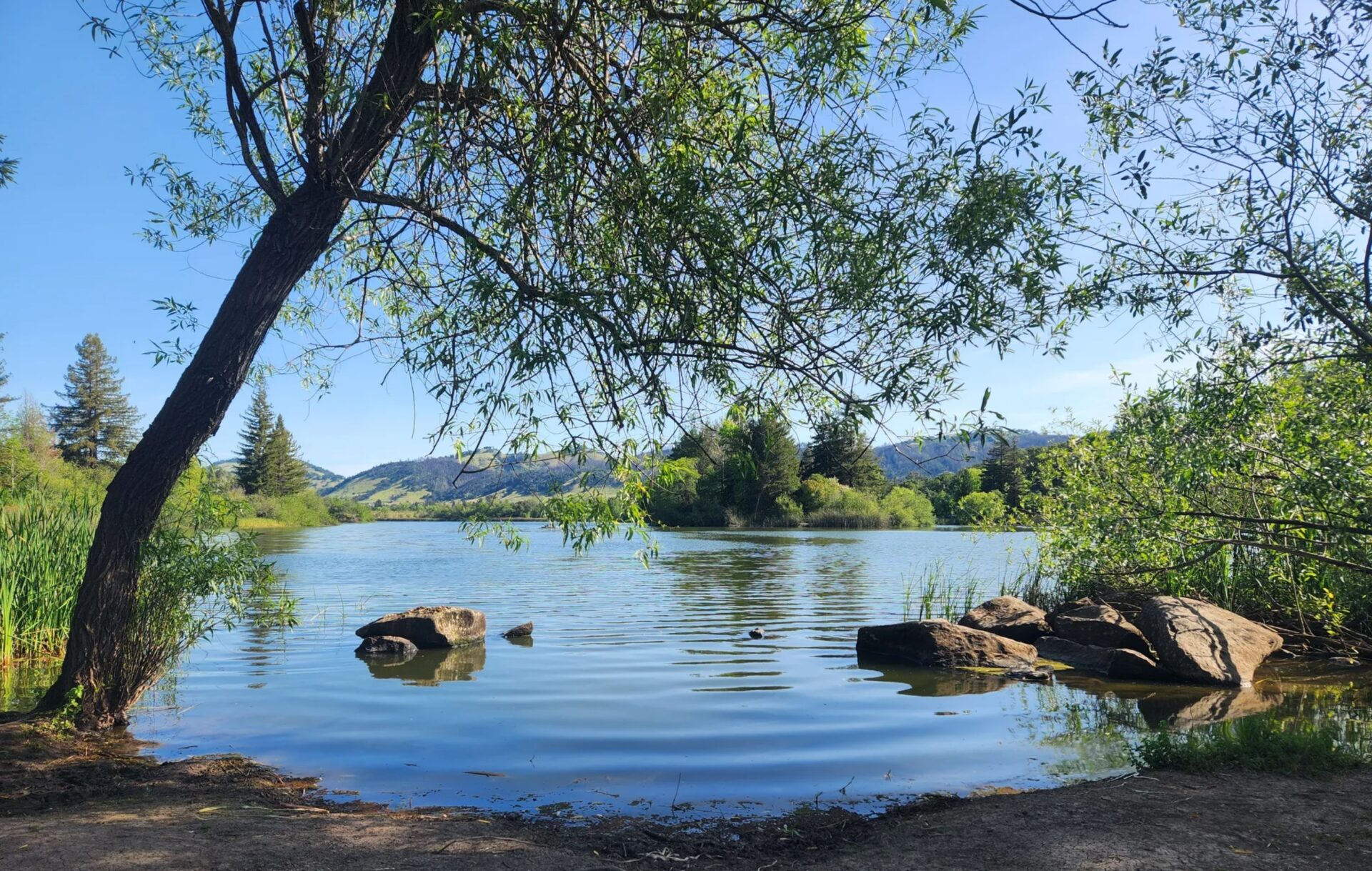 Spring Lake to Trione-Annadel State Park - Bay Area Ridge Trail