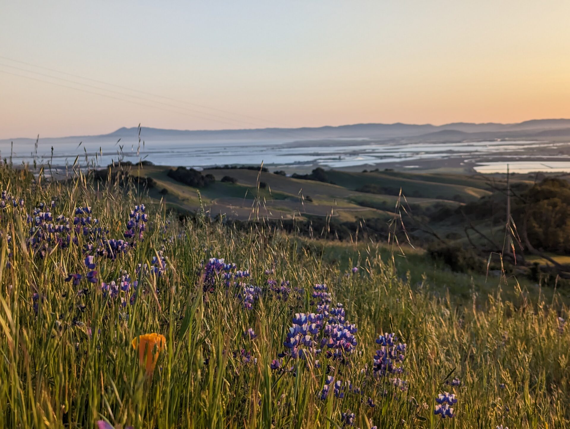 Skyline Wilderness Park and Napa Solano Ridge Trail - Bay Area Ridge Trail