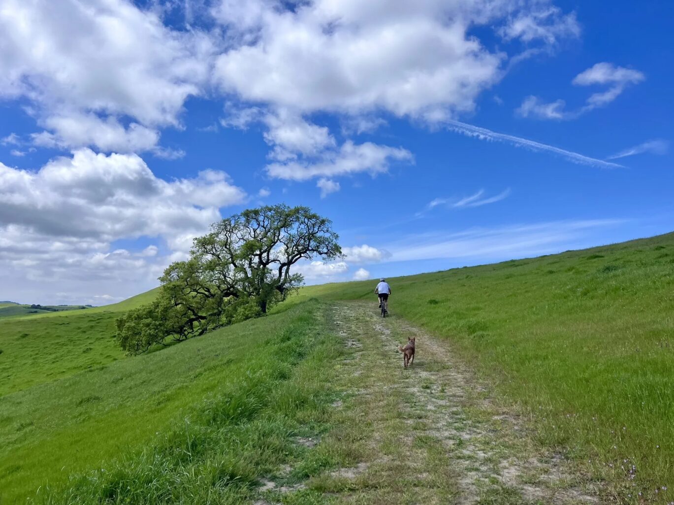 Fernandez Ranch - Bay Area Ridge Trail