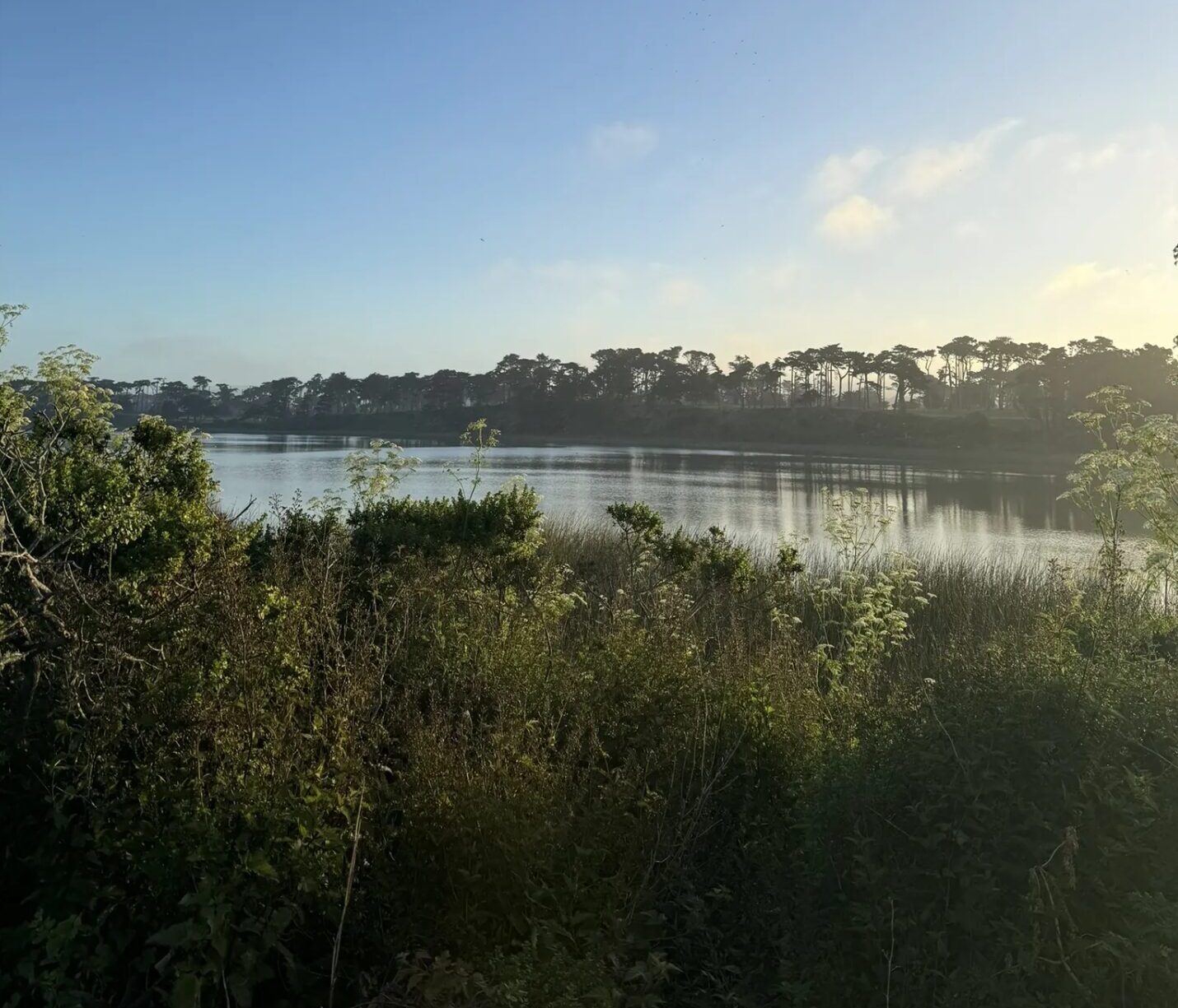 Lake Merced to Stern Grove - Bay Area Ridge Trail