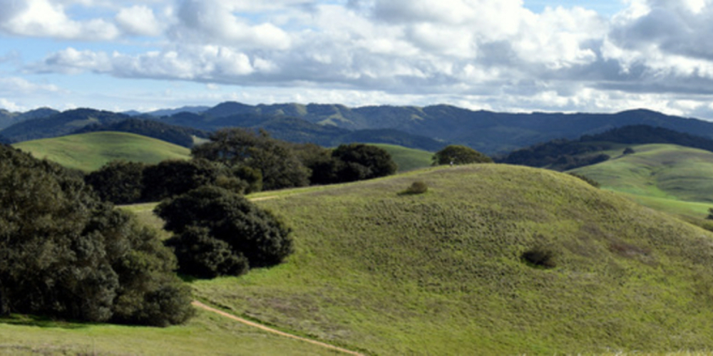 Petaluma Park Tour, Sonoma - Bay Area Ridge Trail