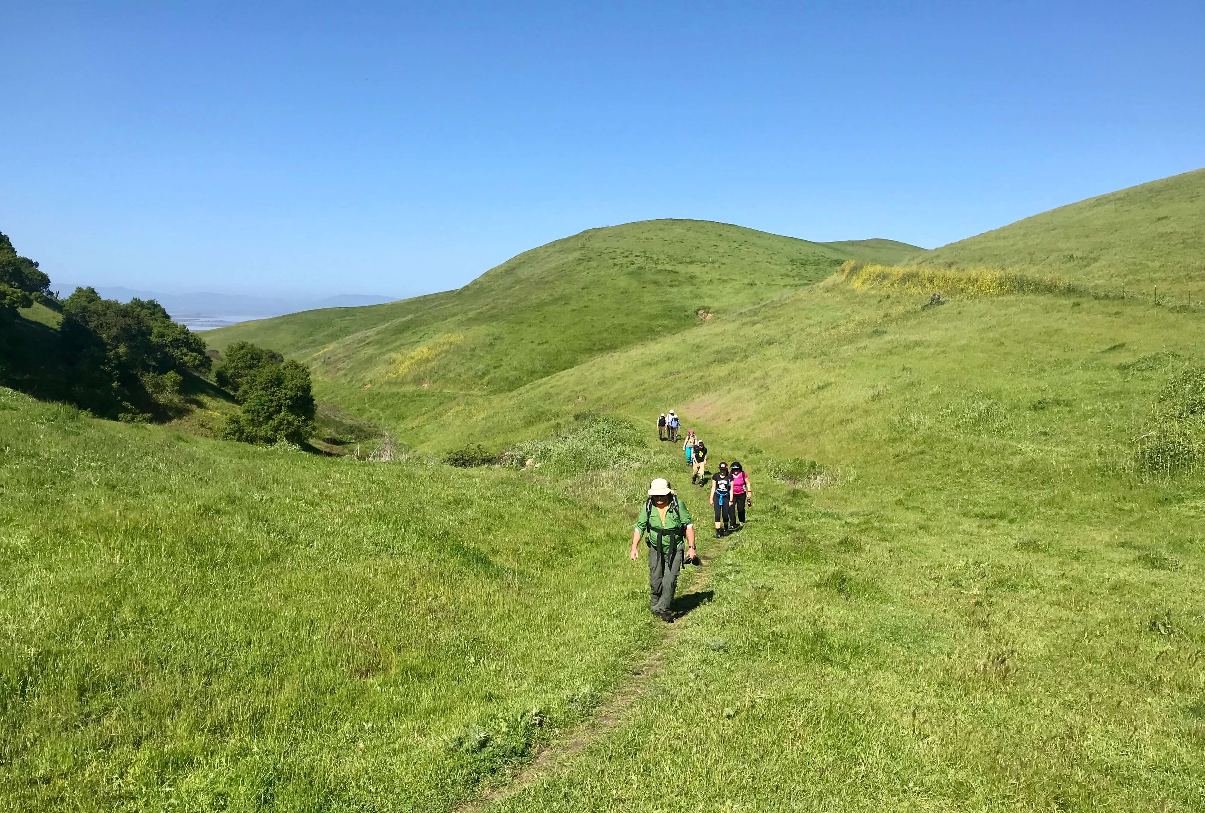 CALL TO ACTION: Support Planned Ridge Trail Connections in the Solano ...