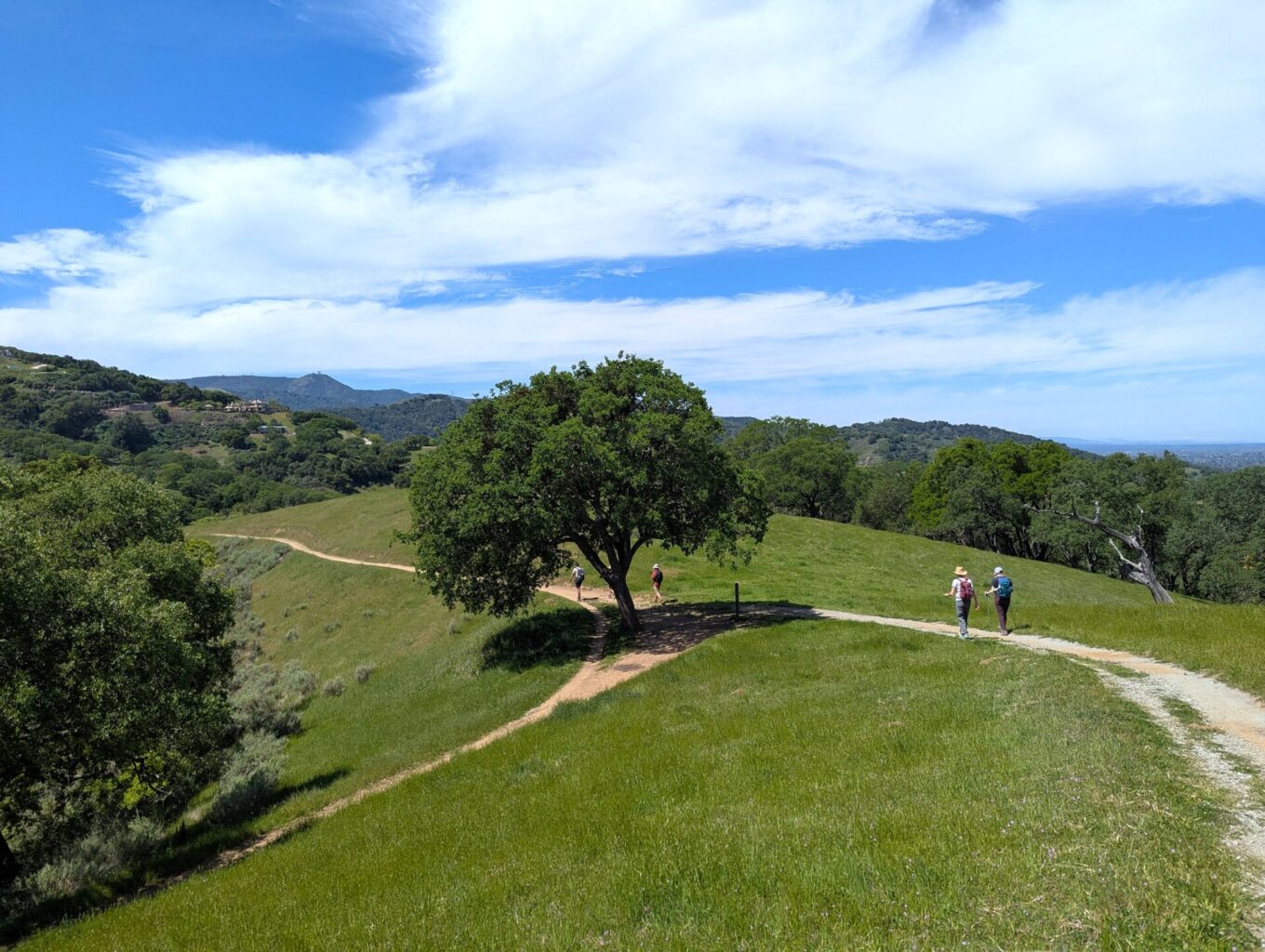 Year End Match - Bay Area Ridge Trail
