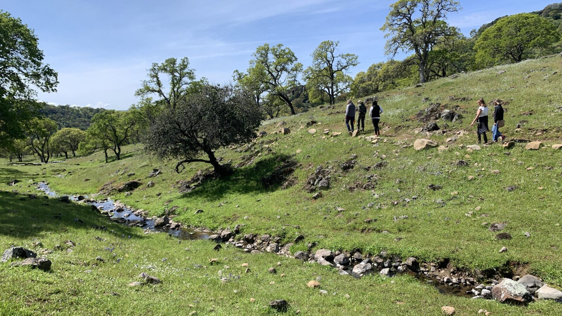 Home - Bay Area Ridge Trail