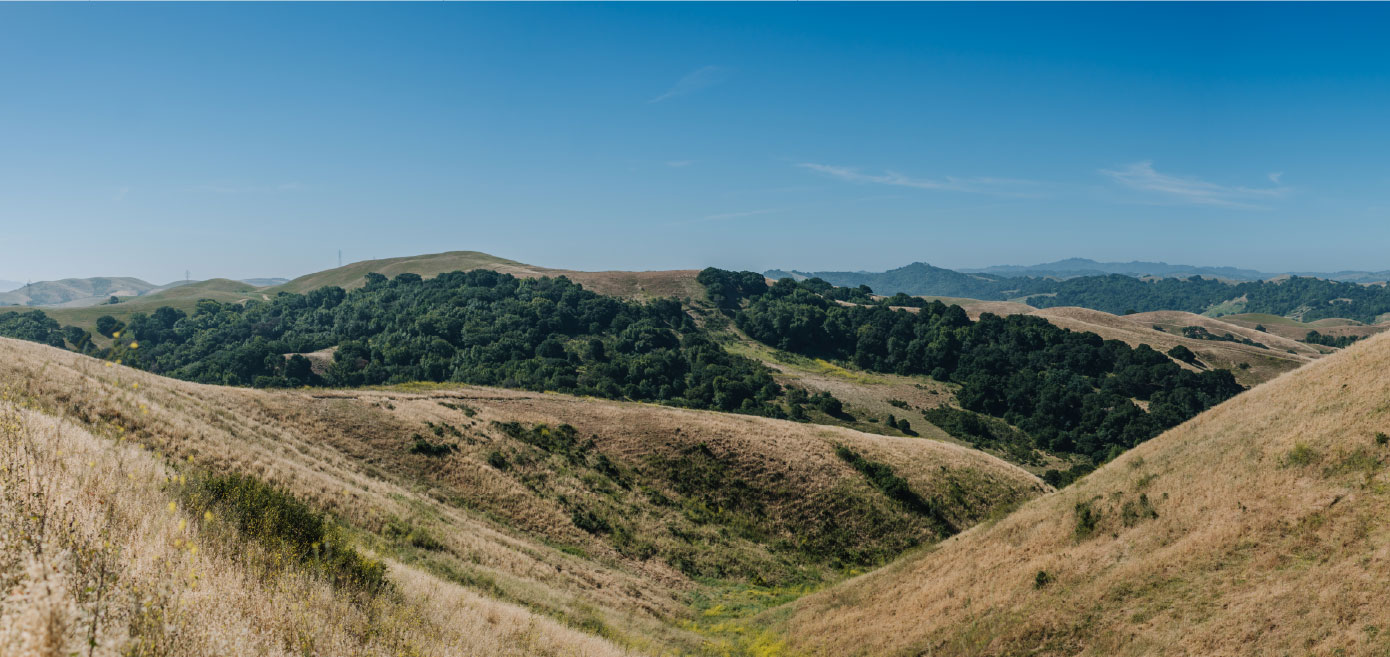 Home - Bay Area Ridge Trail