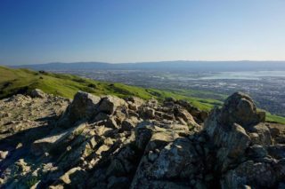 Skyline Ridge Tree Farm - Bay Area Ridge Trail